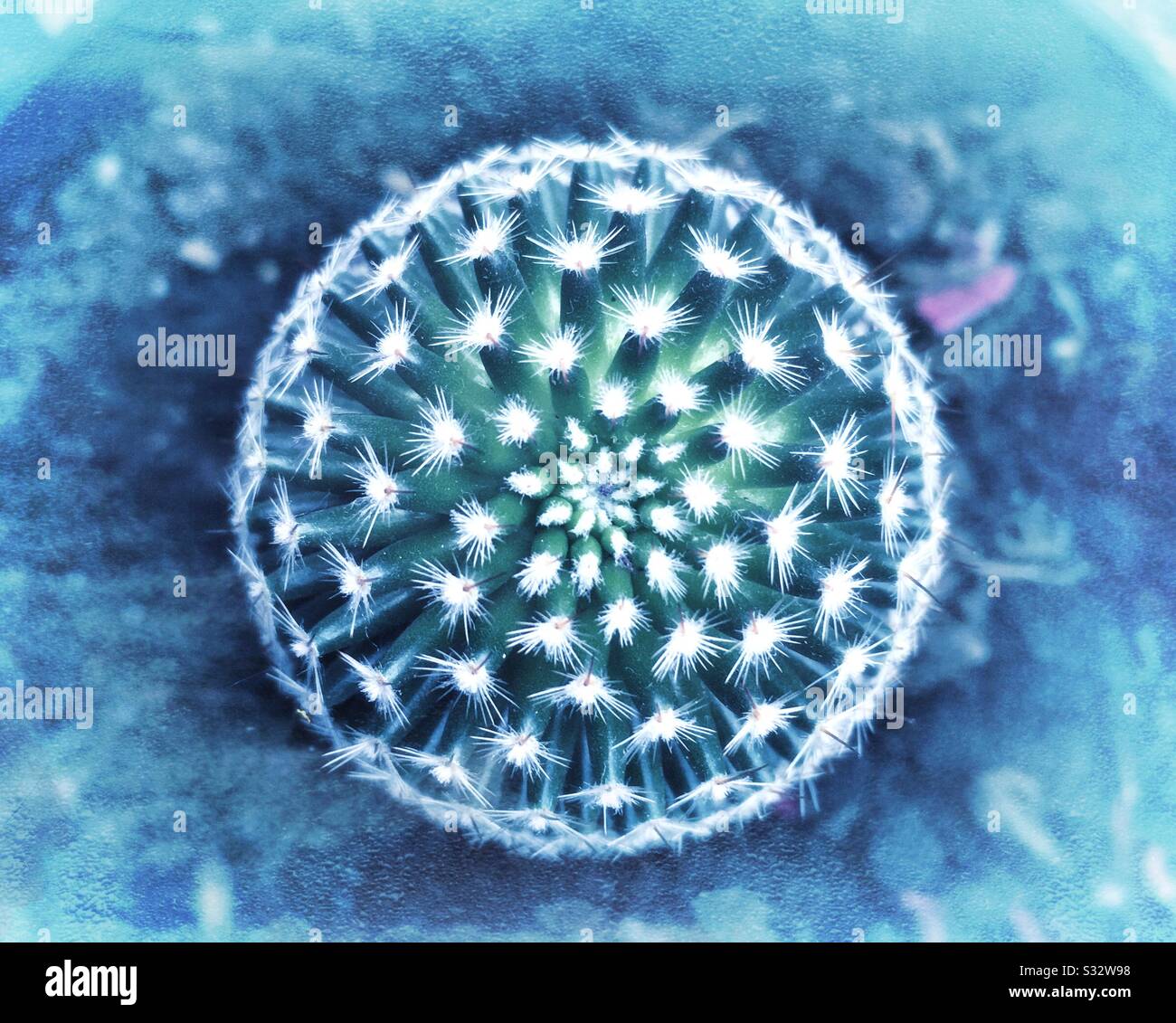 Frosted appearance hi-res stock photography and images - Alamy