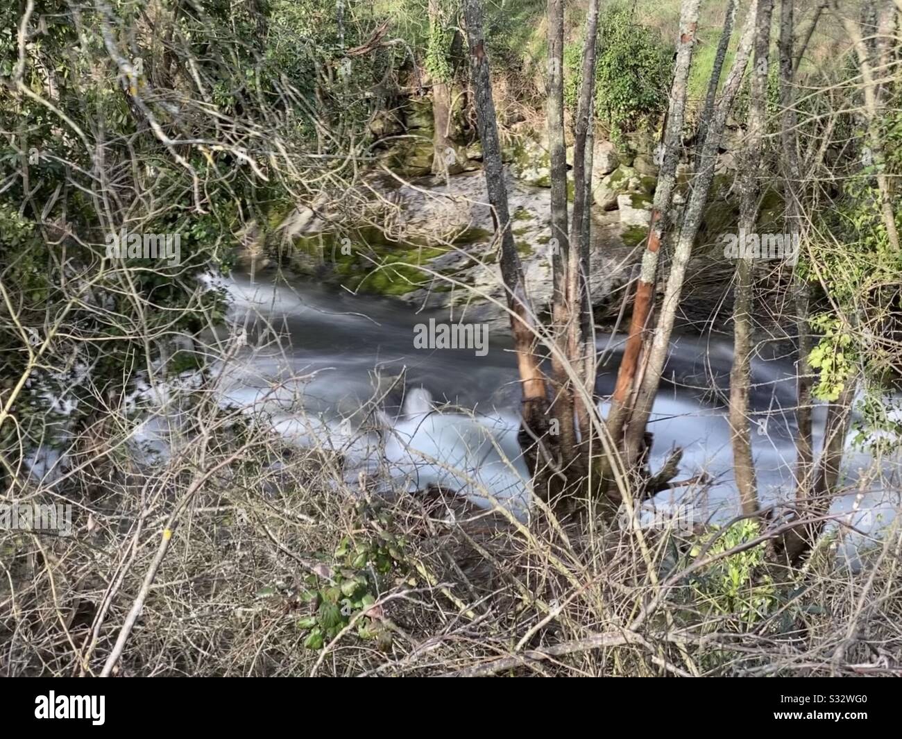Green trees and water flow hi-res stock photography and images - Alamy