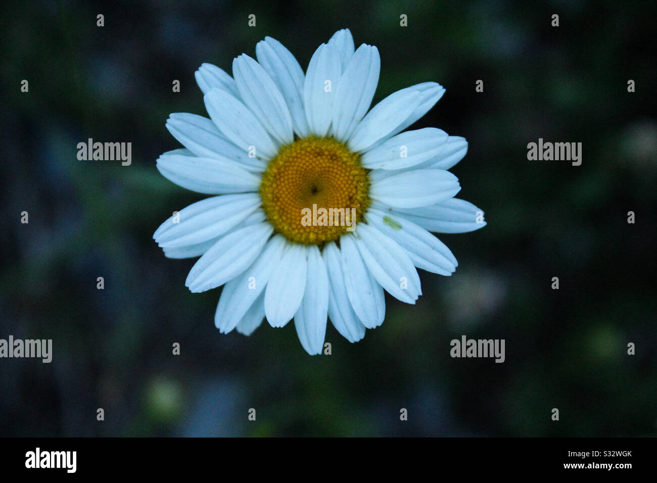 Zoom shot hi-res stock photography and images - Alamy