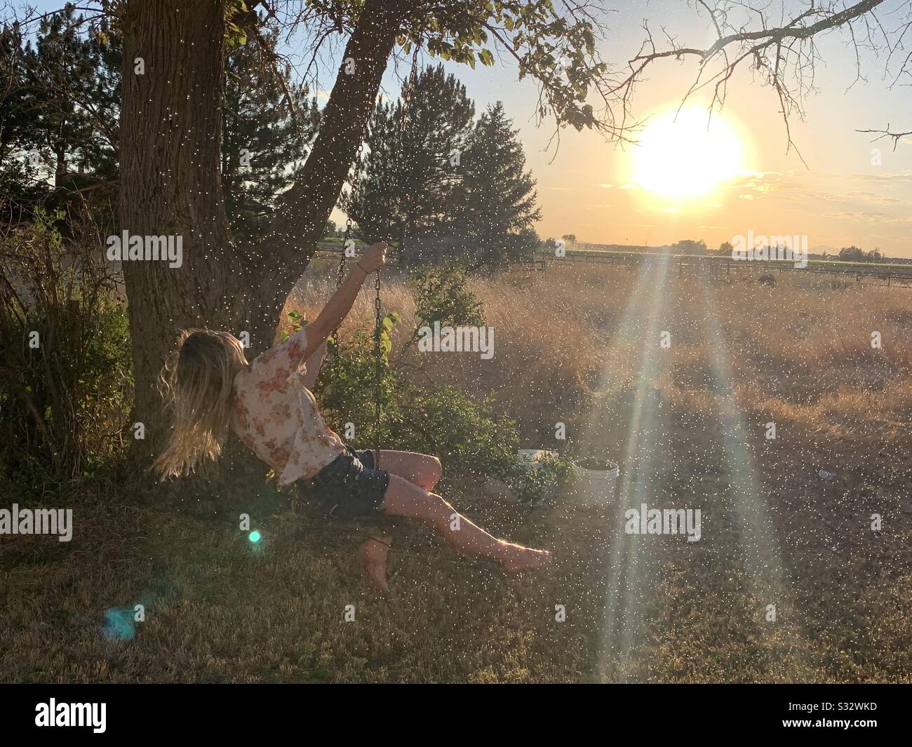 Swinging in the summer rain Stock Photo - Alamy