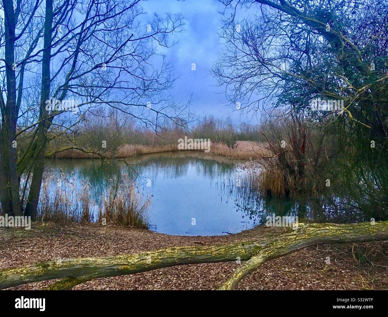 Feb Drayton Lakes RSPB Nature Reserve, Cambridgeshire Stock Photo - Alamy