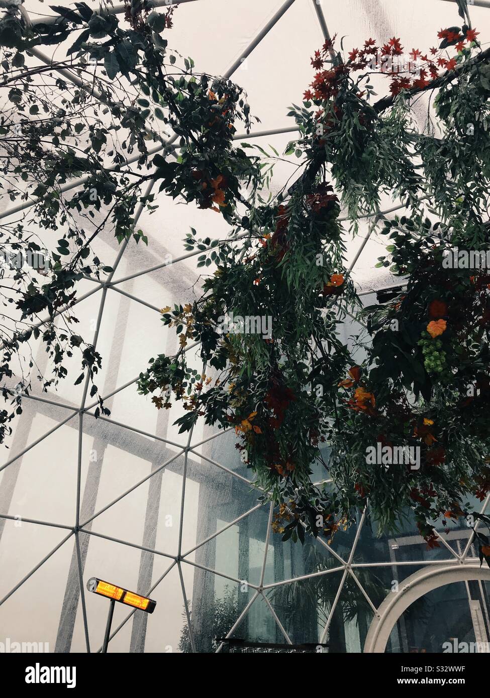 Rain plants hi-res stock photography and images - Alamy