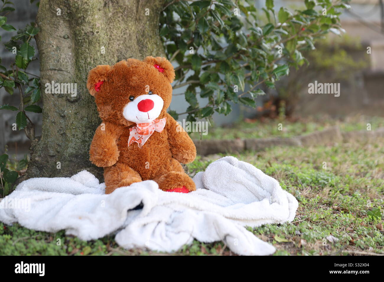 Bear under tree Stock Photo - Alamy