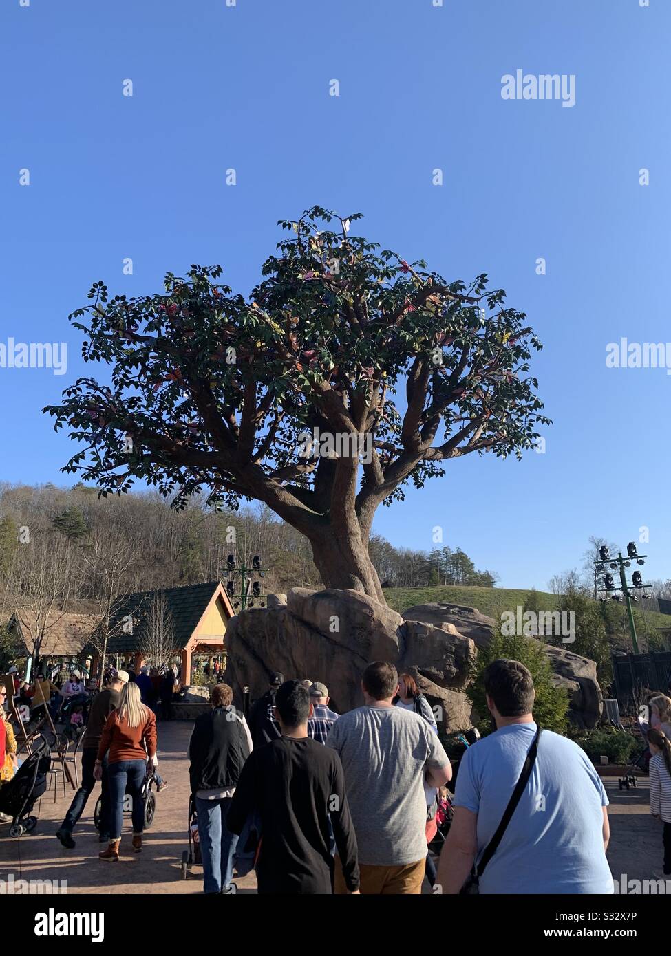 Dollywood hi-res stock photography and images - Alamy