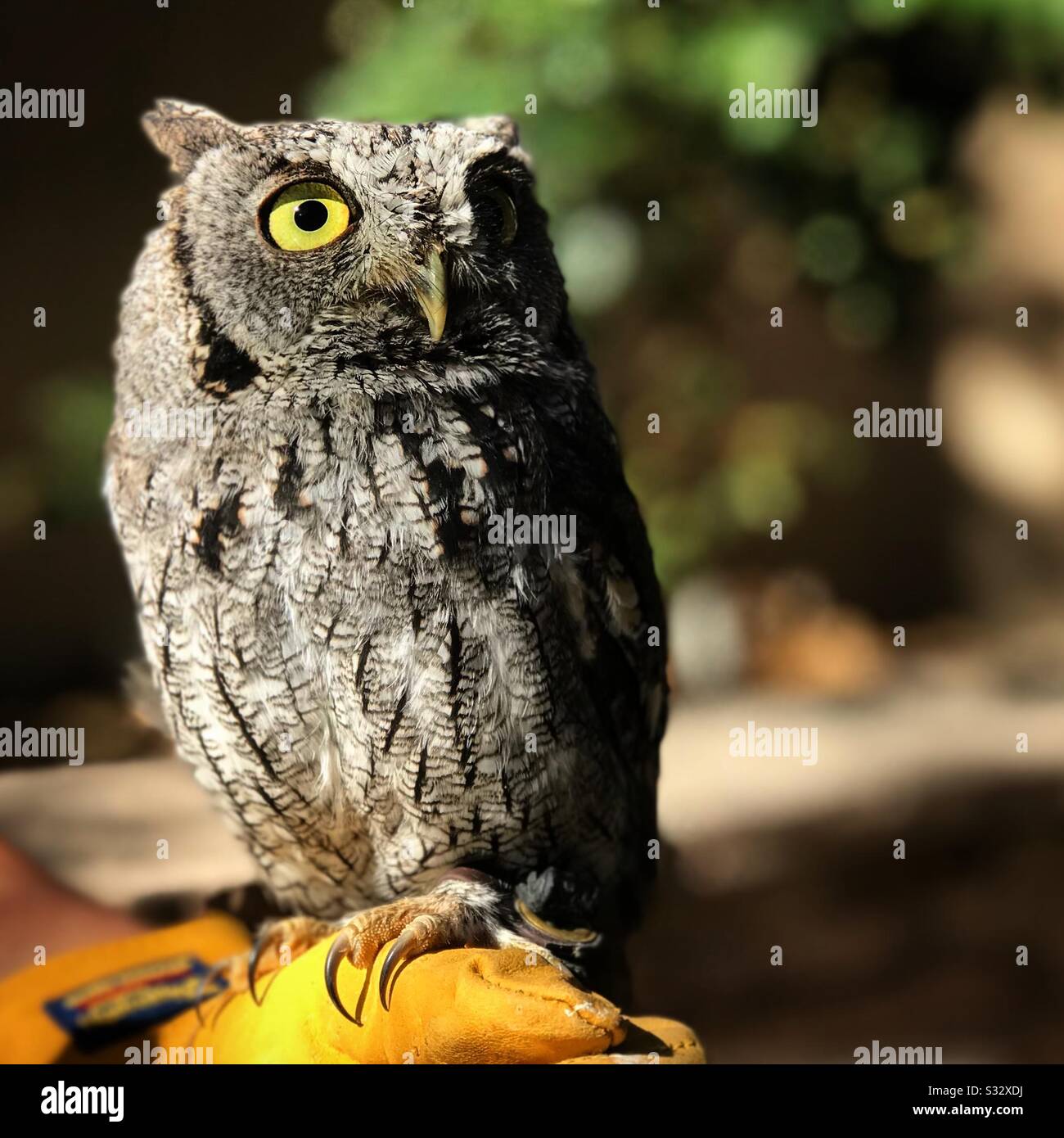 Narrow field of depth hi-res stock photography and images - Alamy