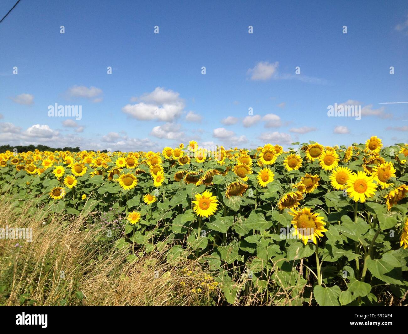 French country side hi-res stock photography and images - Alamy