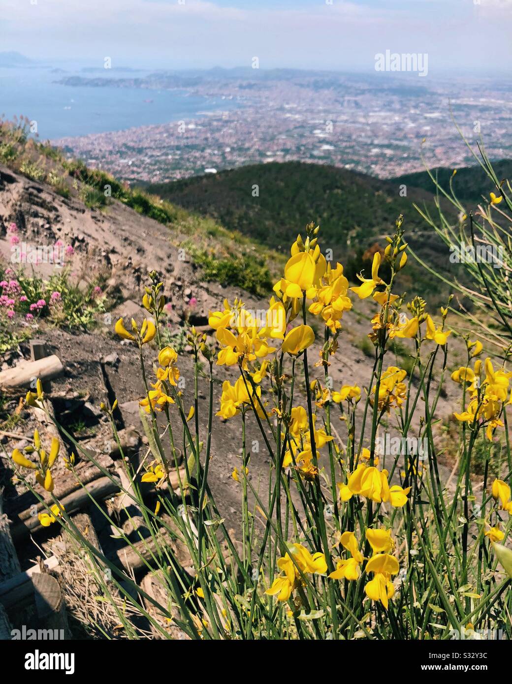 Worley hi-res stock photography and images - Alamy