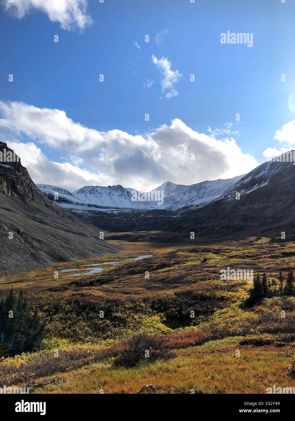 Willmore Wilderness Park High Resolution Stock Photography and Images ...