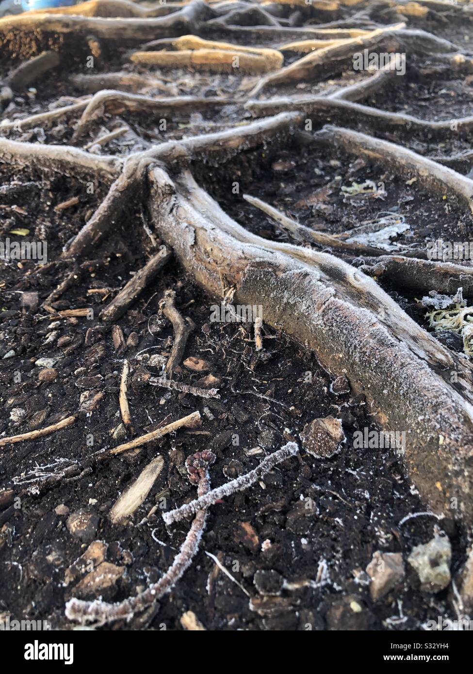 Cold earth hi-res stock photography and images - Alamy