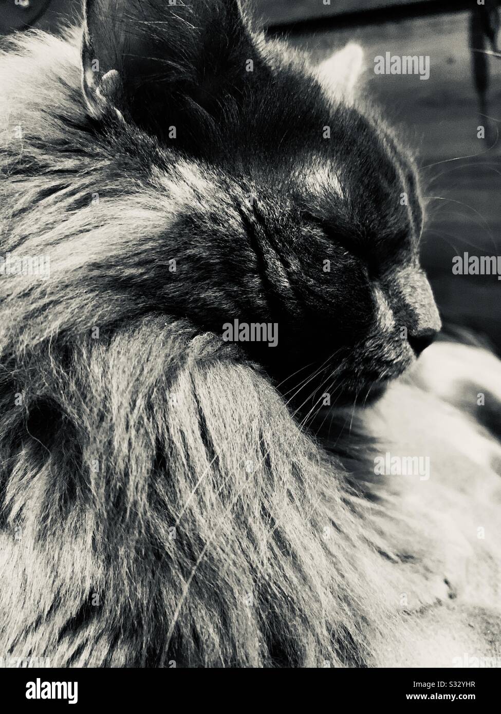 Gwen White High Resolution Stock Photography and Images - Alamy