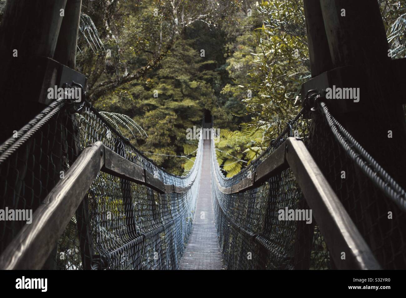 Kaitoke new zealand hi-res stock photography and images - Alamy