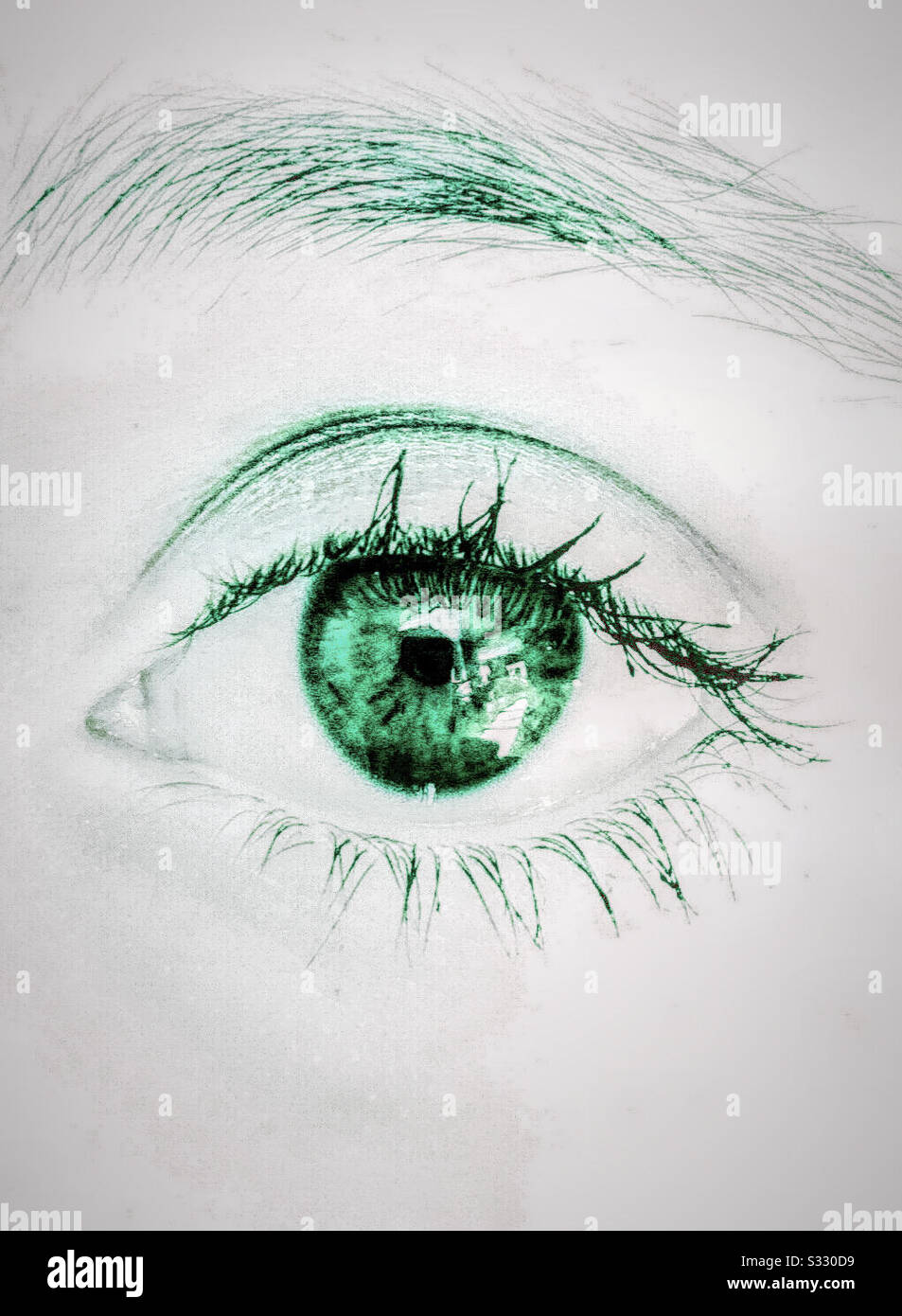 Green Eyebrows High Resolution Stock Photography and Images - Alamy