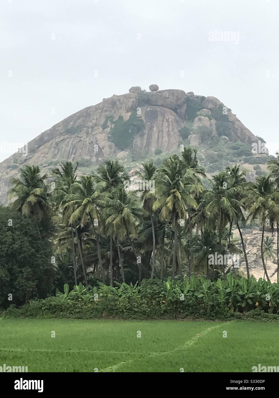 On the way to Kodaikanal touch down Palani hills and village scenic ...