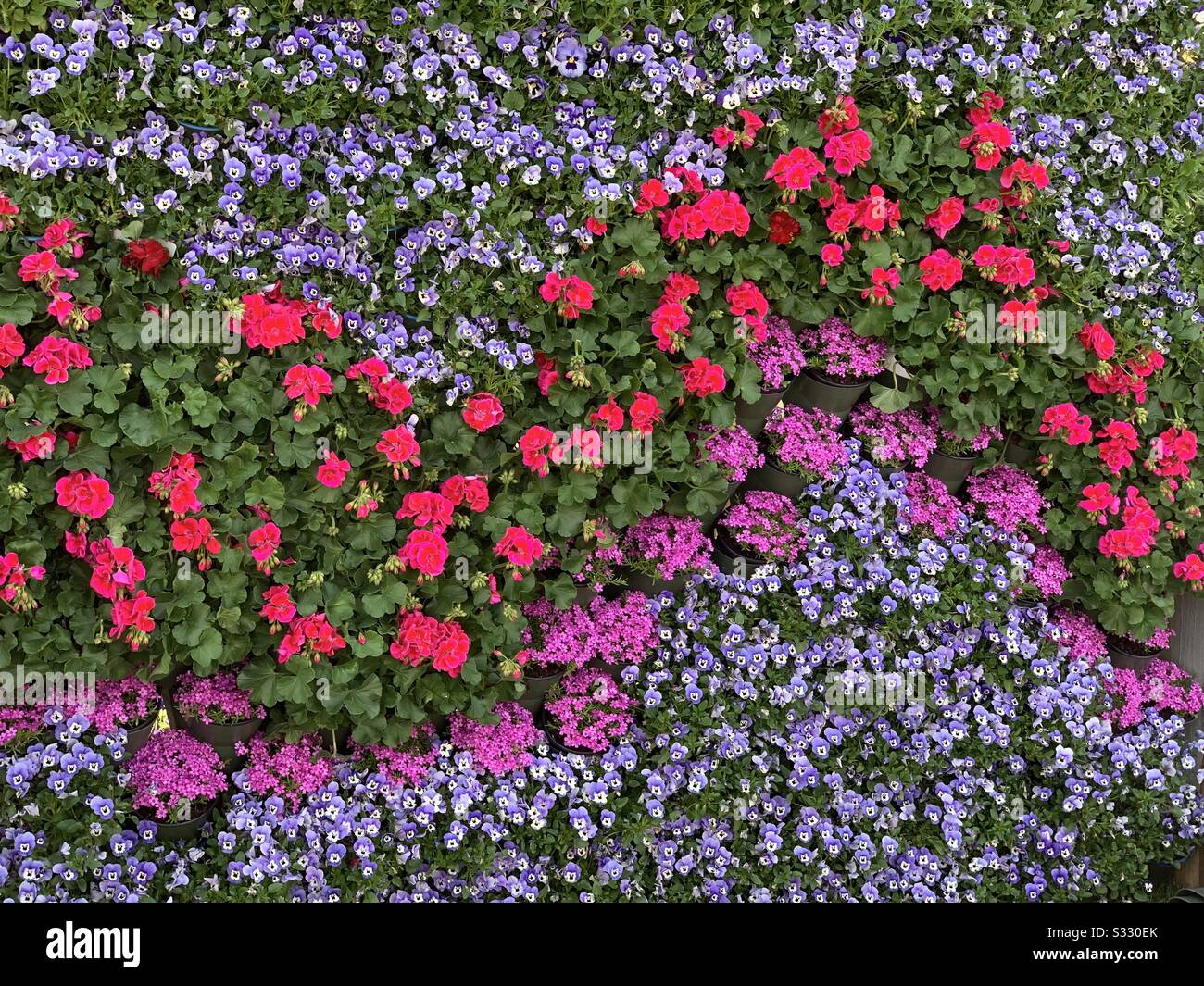 Lovely design hi-res stock photography and images - Alamy