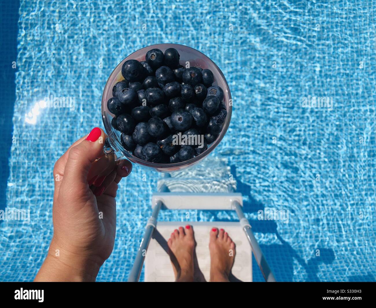 Blueberries by the pool Stock Photo - Alamy