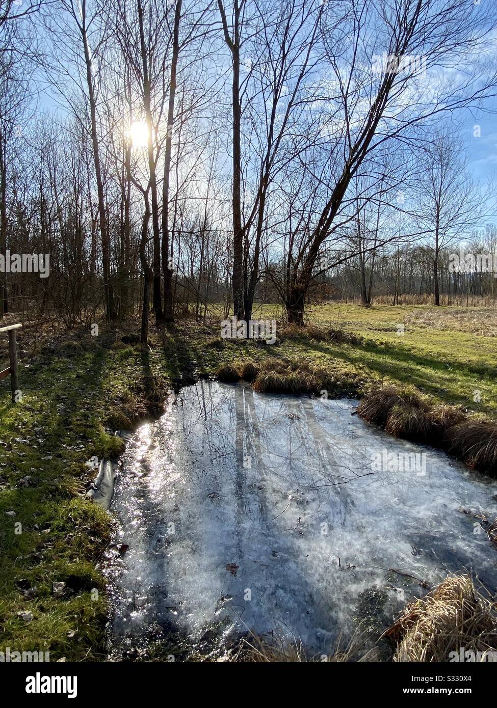 Swamp area hi-res stock photography and images - Alamy