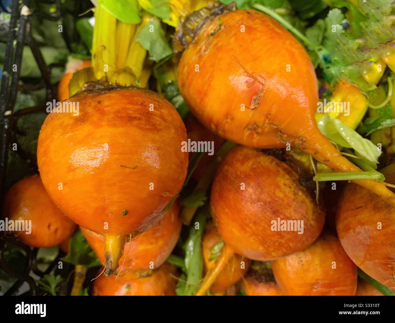 Bunch of beautiful perfect yellow beets Stock Photo - Alamy