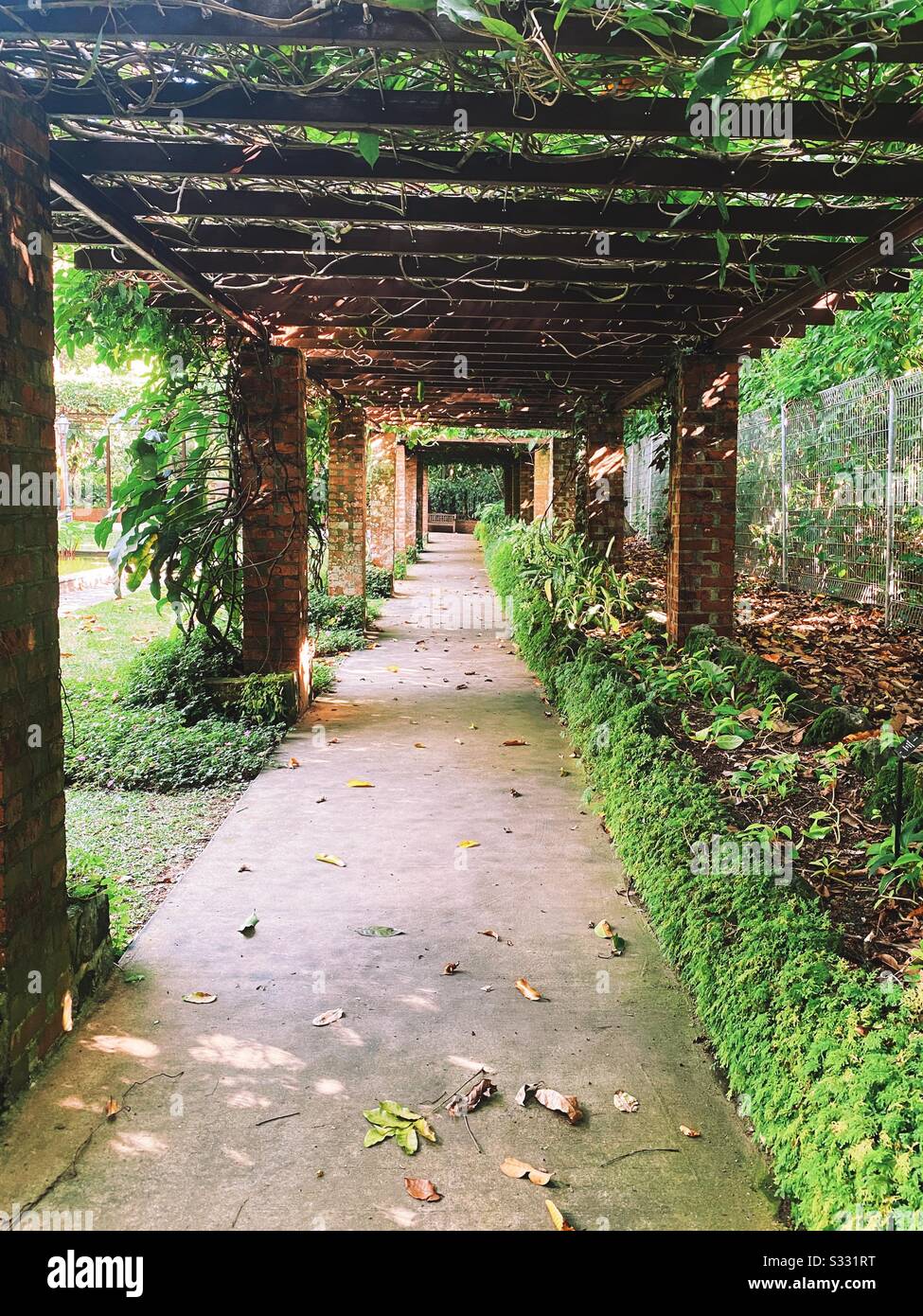 Covered pathway hi-res stock photography and images - Alamy