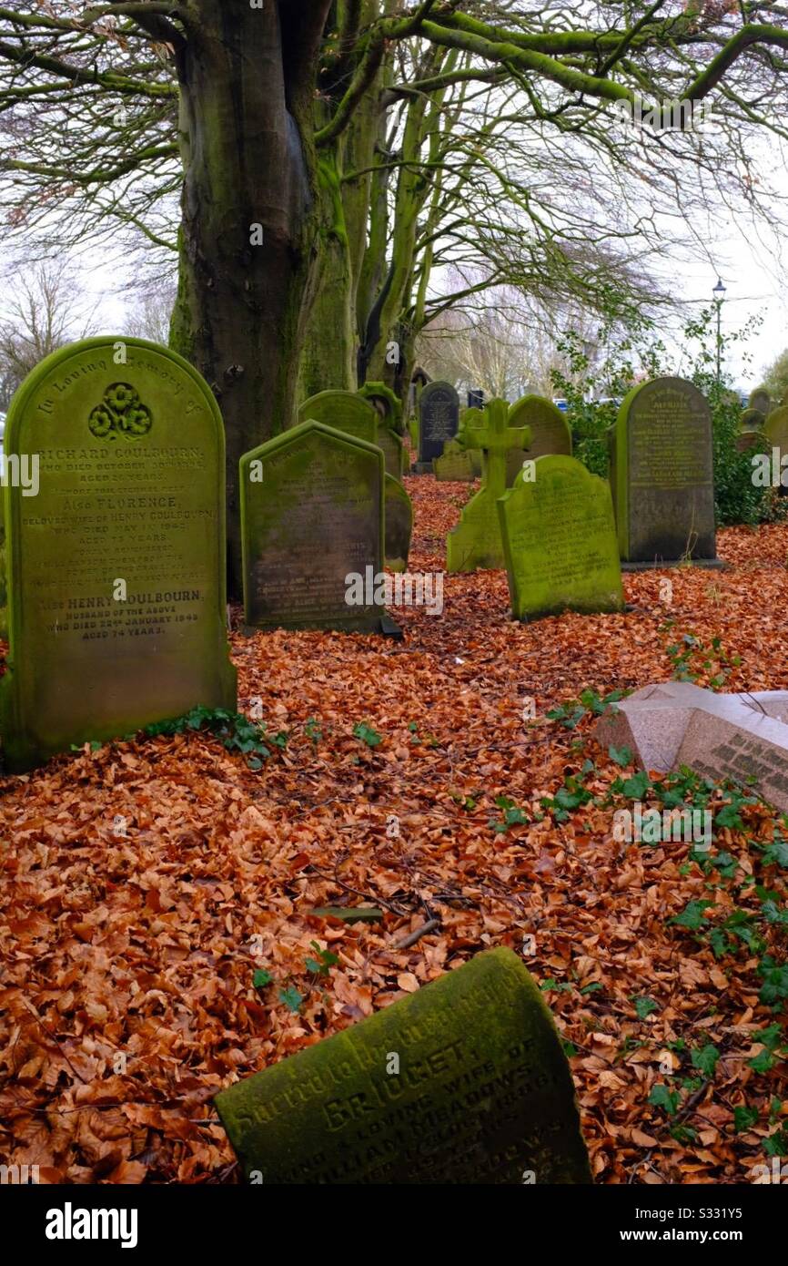 Graveyard moss hi-res stock photography and images - Alamy