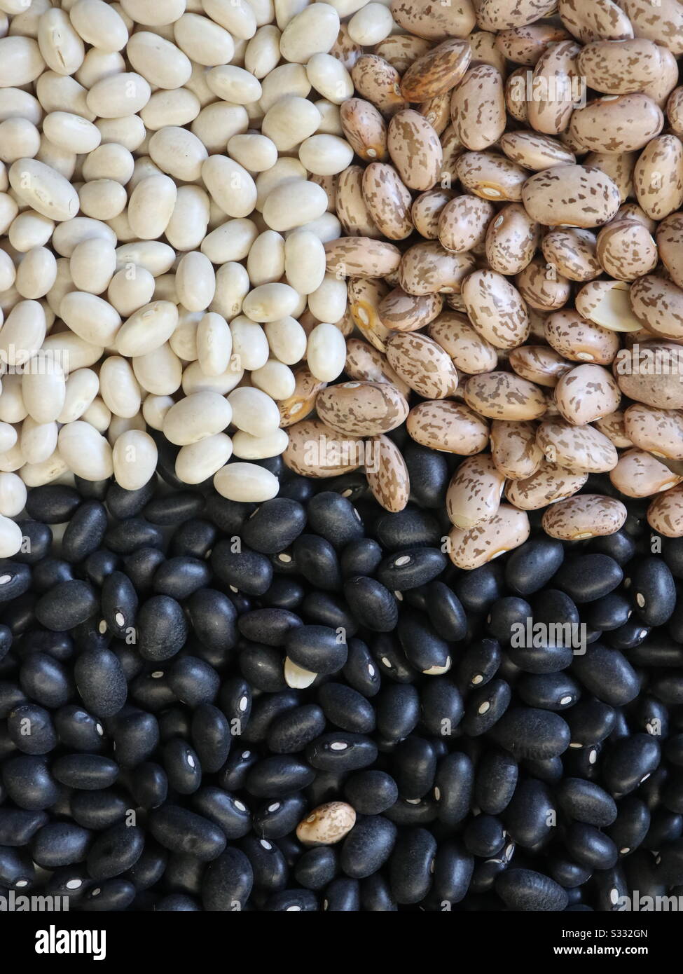 Pinto beans pulses hi-res stock photography and images - Alamy