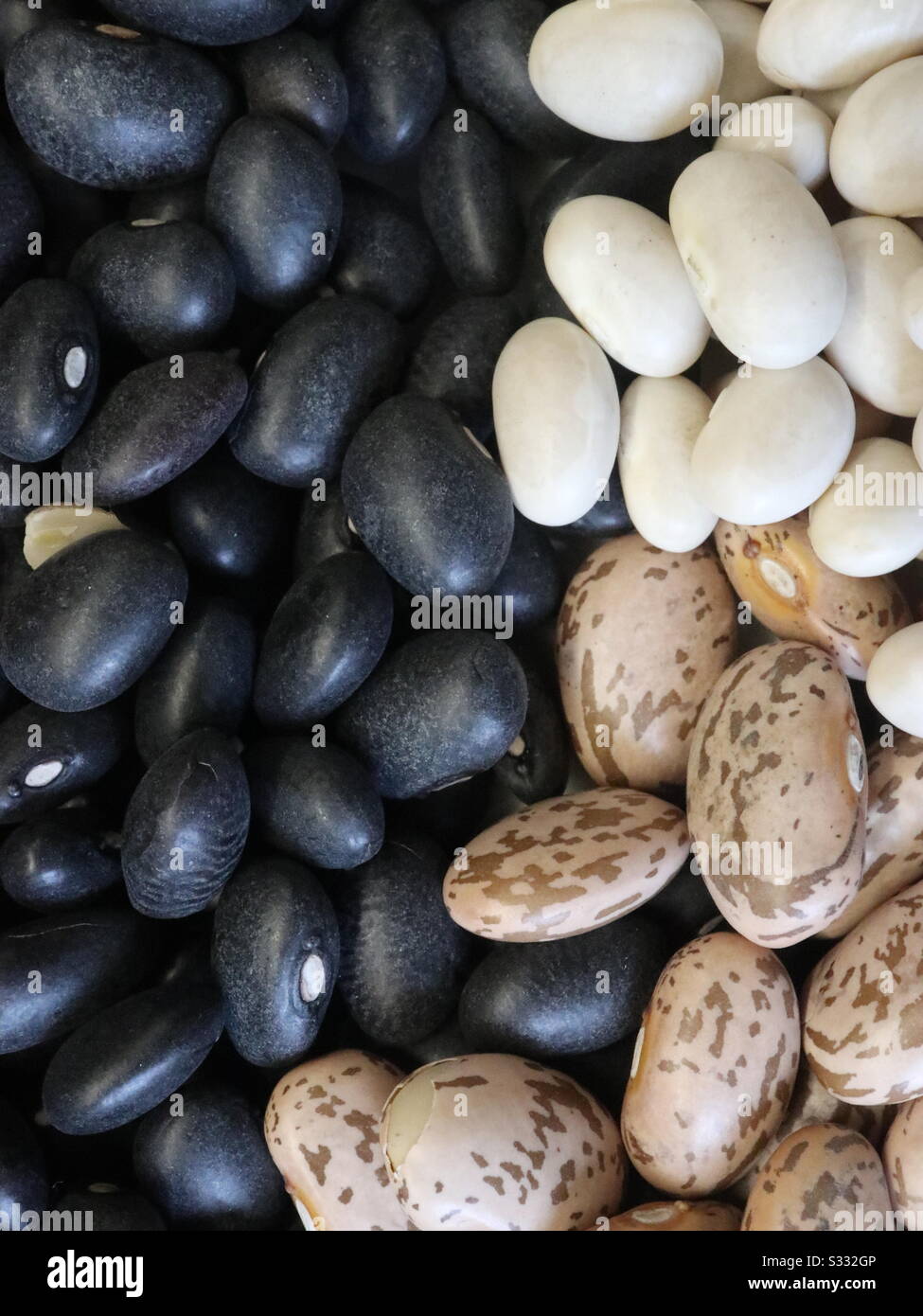Pinto beans pulses hi-res stock photography and images - Alamy