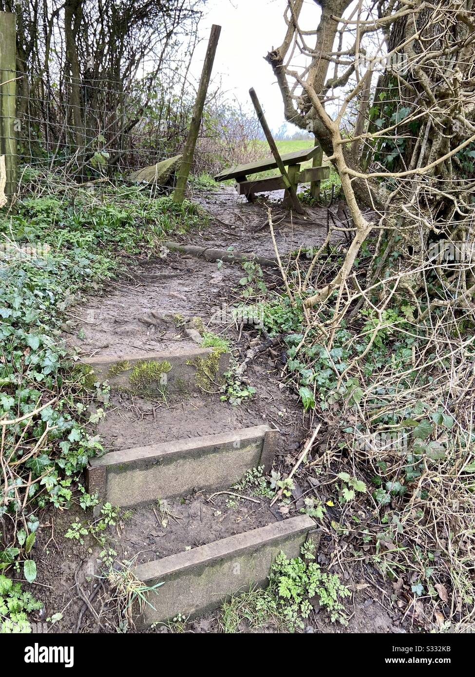 Broken steps hi-res stock photography and images - Alamy