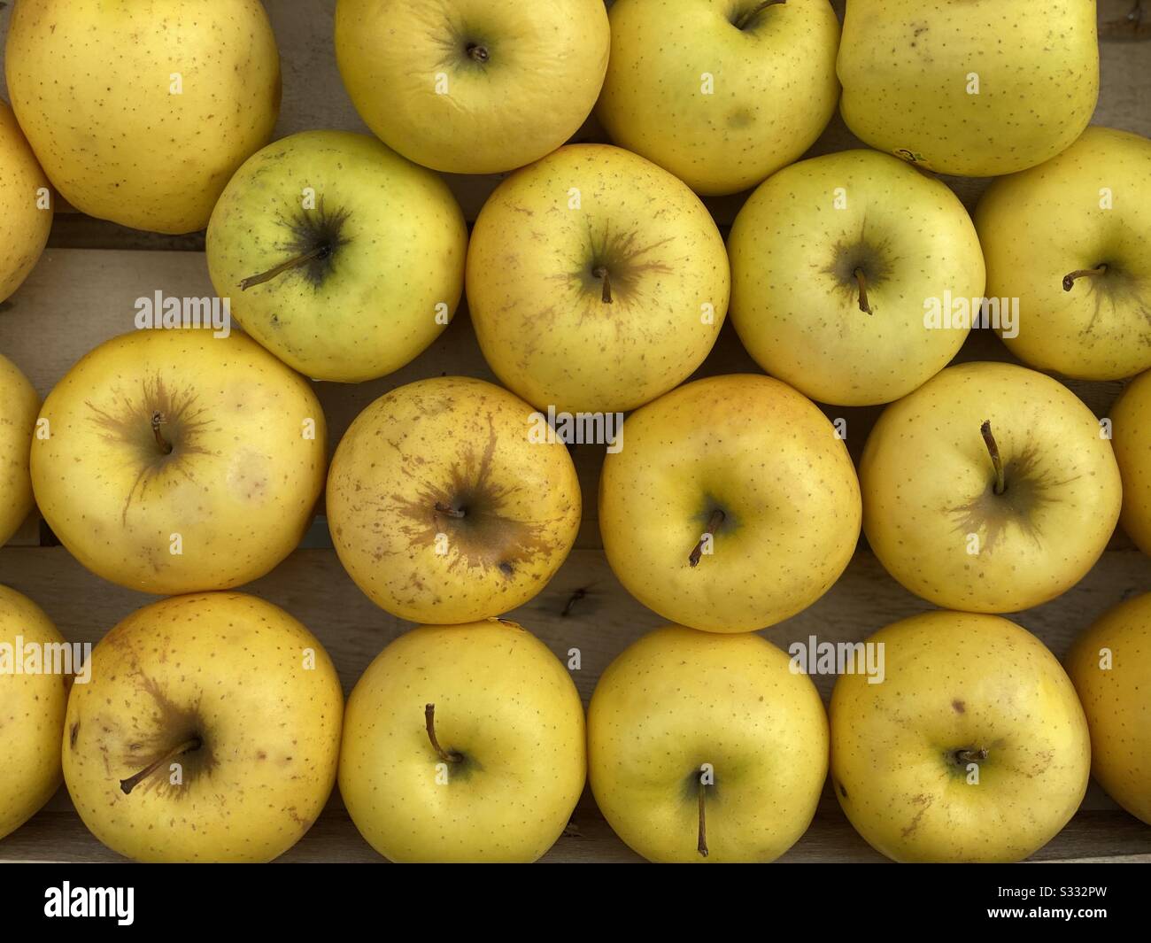 Row of apples hi-res stock photography and images - Alamy