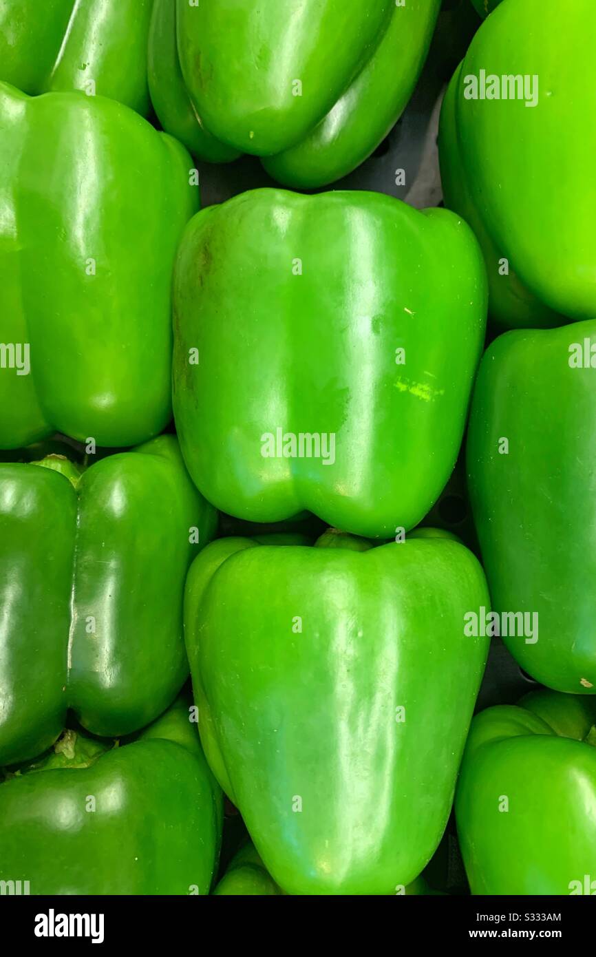 Beautiful fresh green bell peppers Stock Photo - Alamy