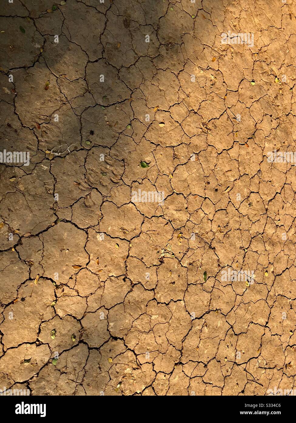 Crack soil hi-res stock photography and images - Alamy