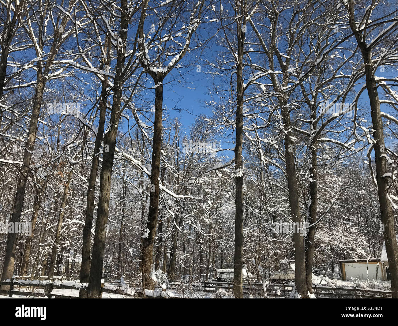 Backyard after the snow storm Stock Photo - Alamy