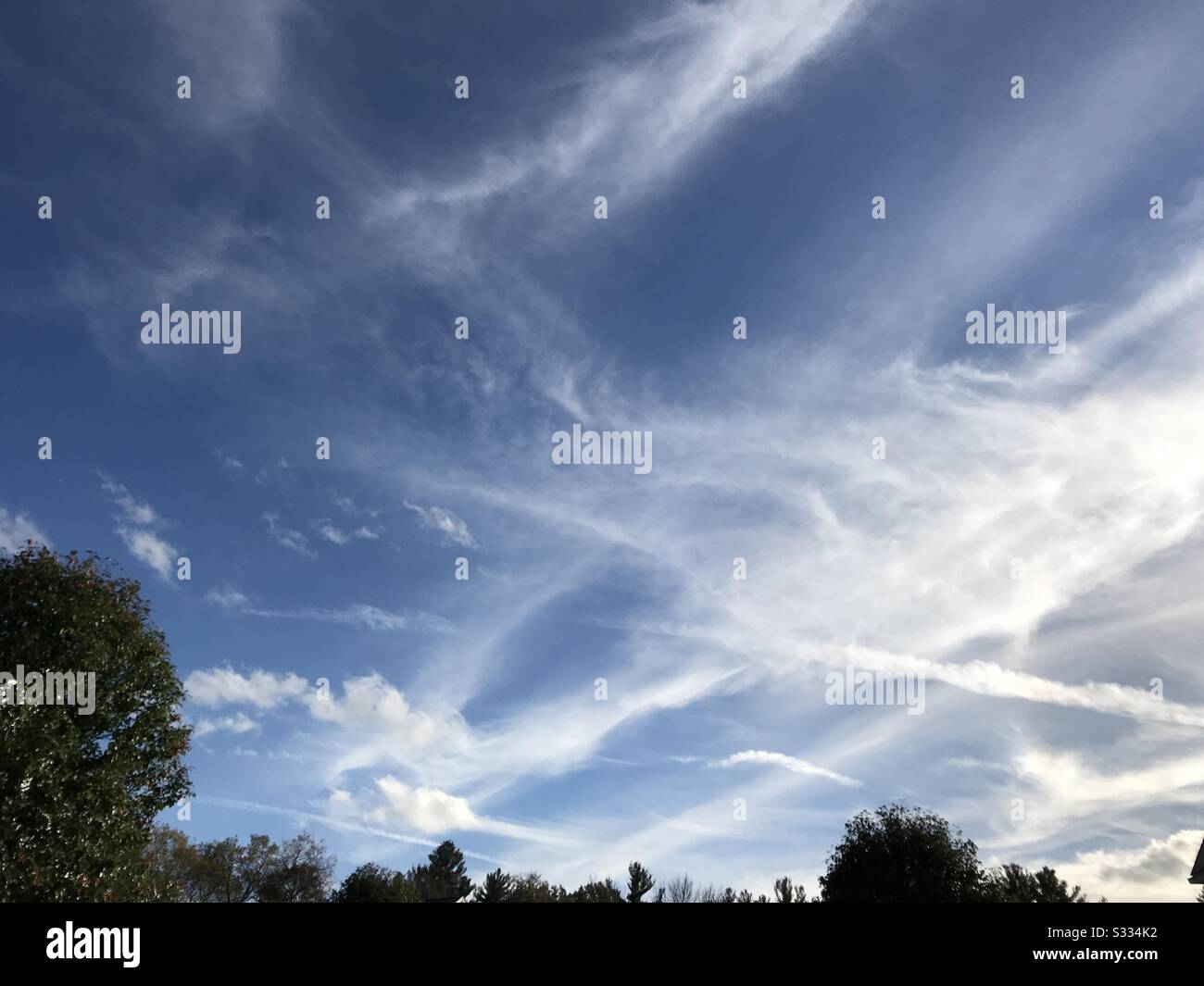 Windswept windblown hi-res stock photography and images - Alamy