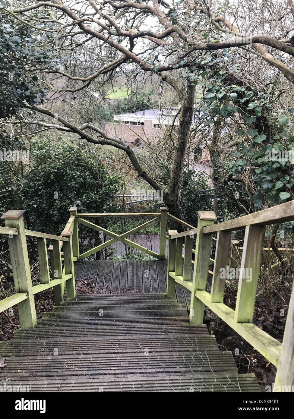 Height railing steps hi-res stock photography and images - Alamy