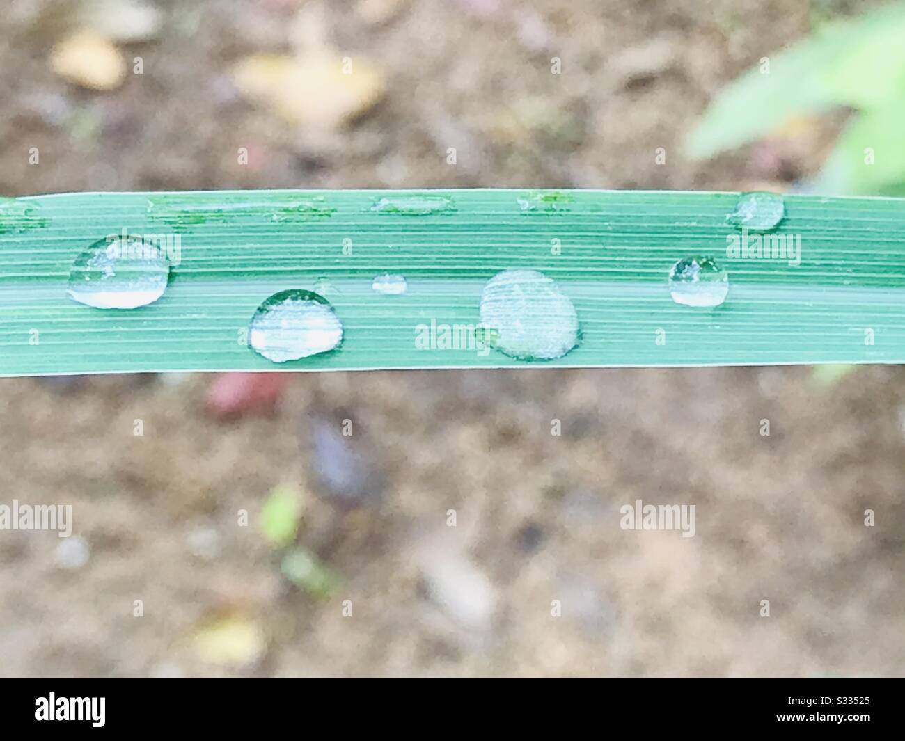 Zoomed in water drop hi-res stock photography and images - Alamy