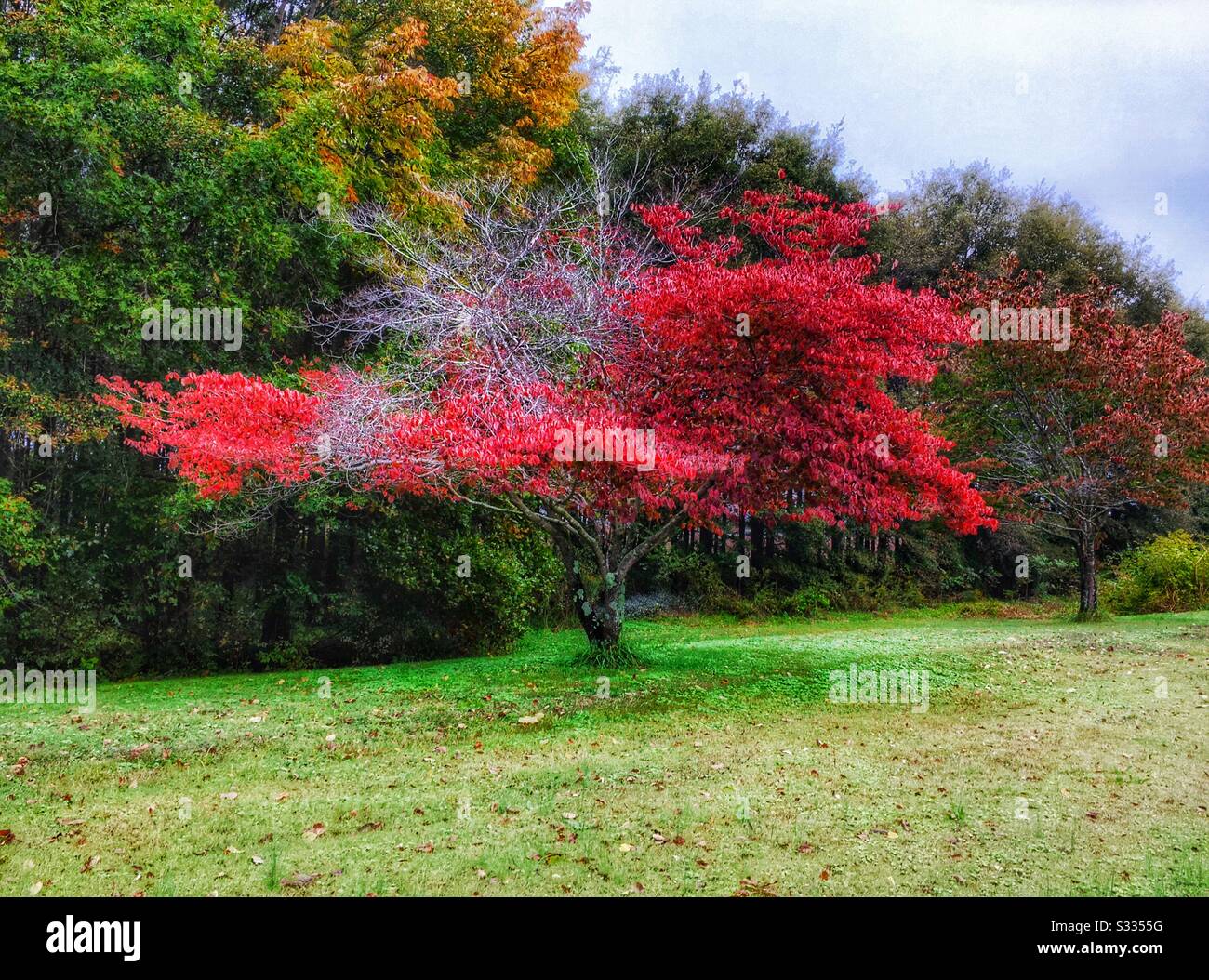 The simple pleasures of nature hi-res stock photography and images - Alamy