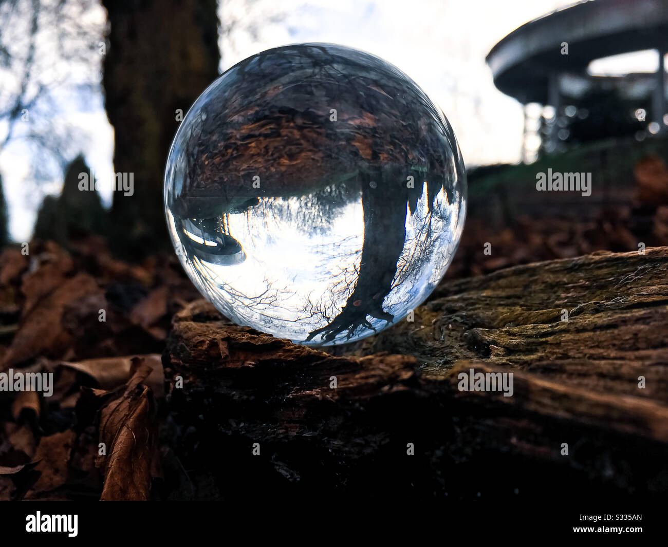 Lens Ball Tree High Resolution Stock Photography and Images - Alamy