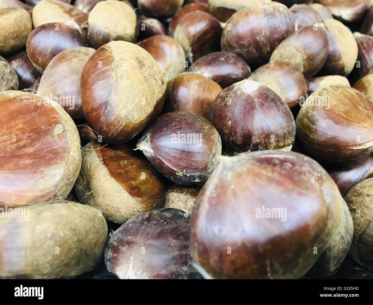 Brown nut hi-res stock photography and images - Alamy