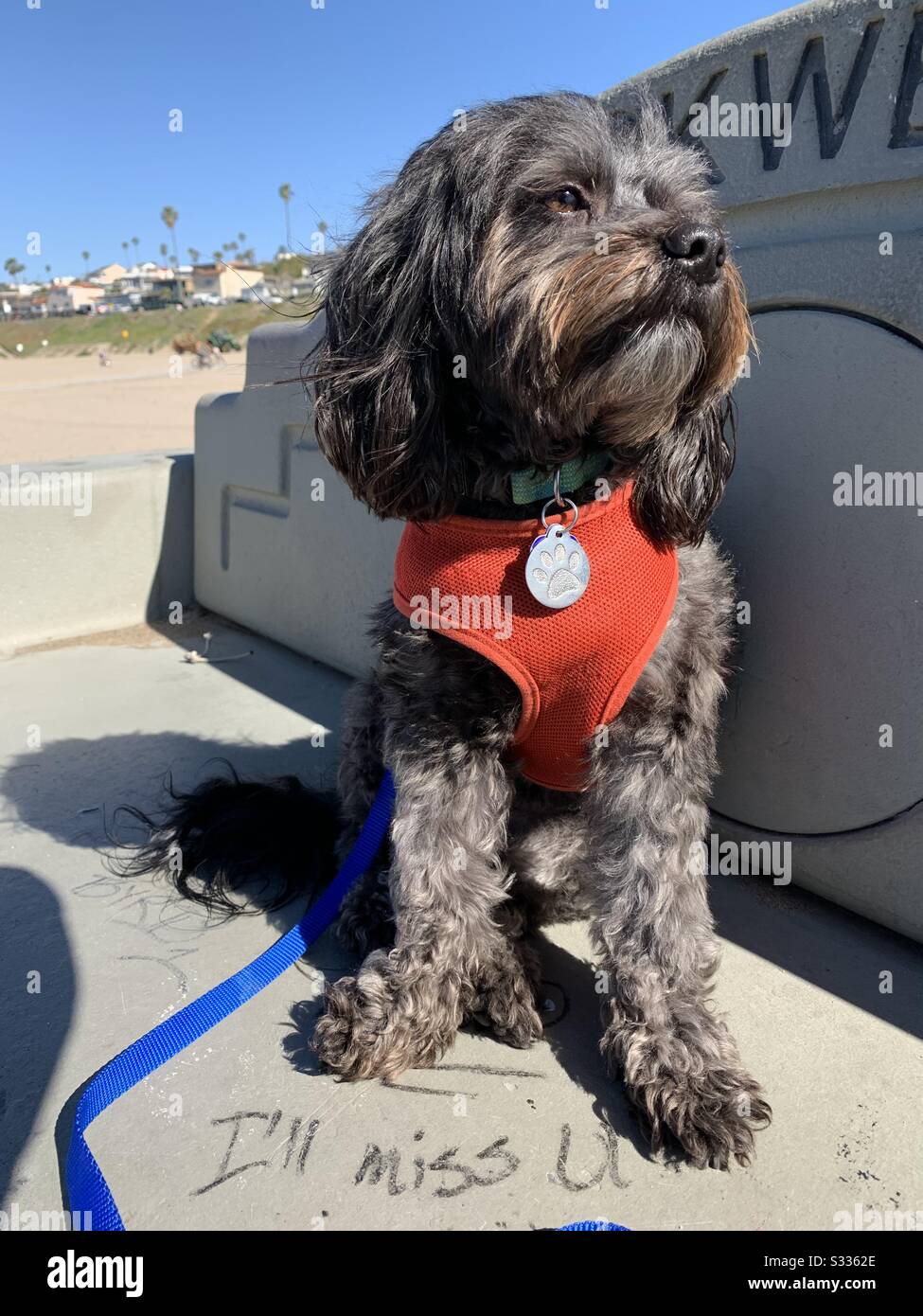 Miss Beach High Resolution Stock Photography and Images - Alamy