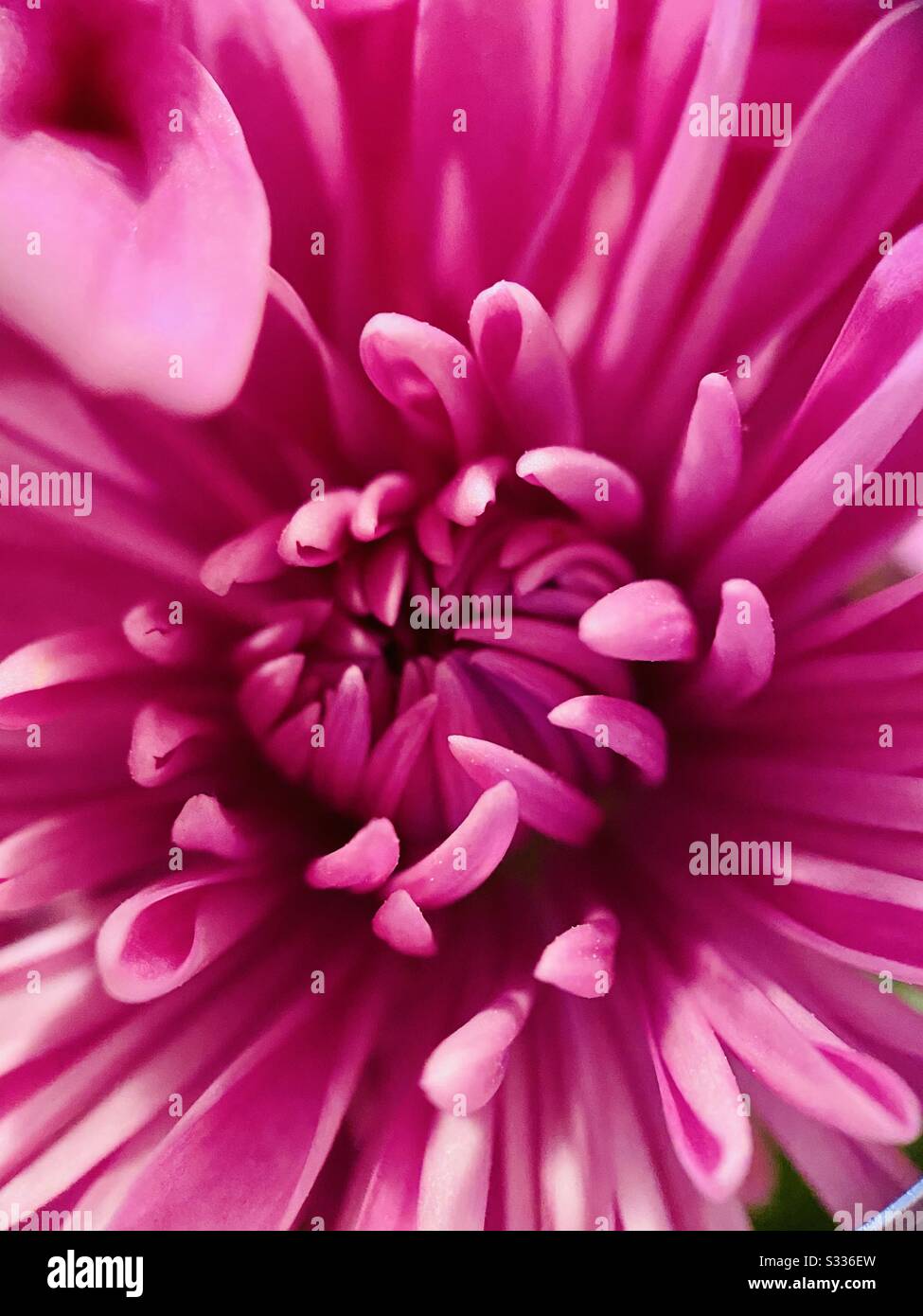 Love the colors hi-res stock photography and images - Alamy