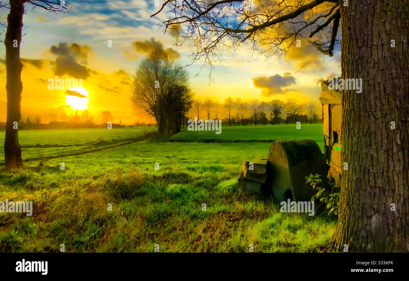 Golden sunset or sunrise over a lush green meadow seen from between ...