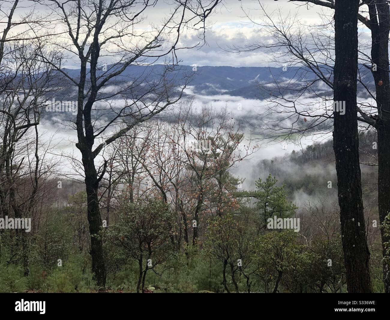 Traphill hi-res stock photography and images - Alamy