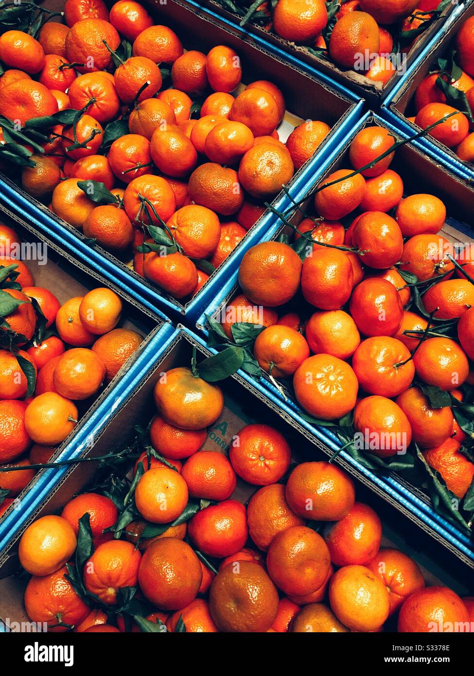 Tangerines in boxes at the market Stock Photo - Alamy