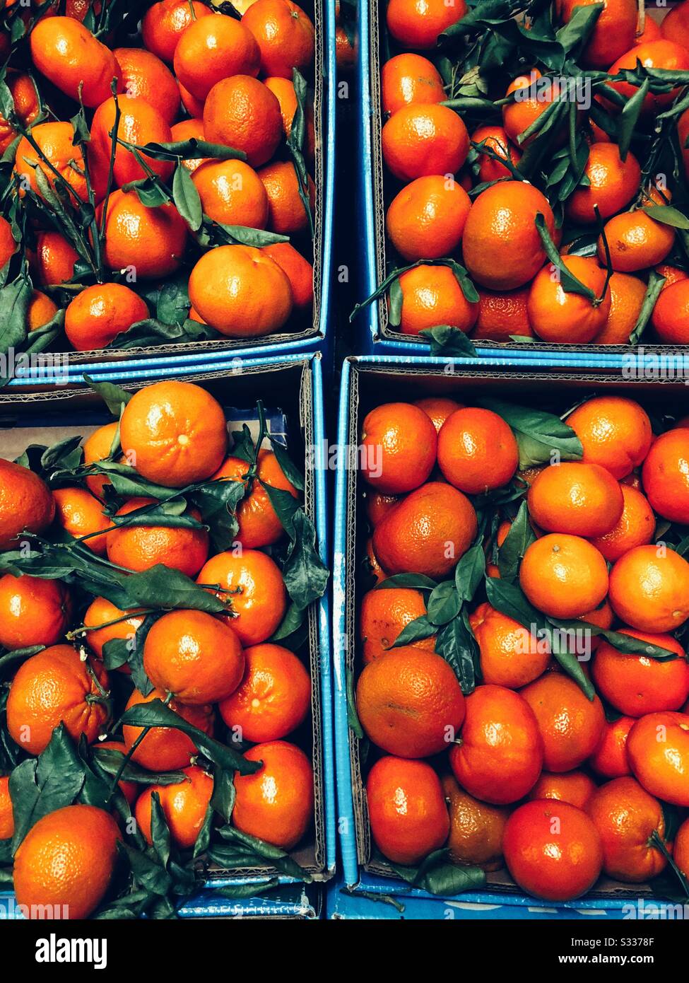 Tangerines in boxes hi-res stock photography and images - Alamy