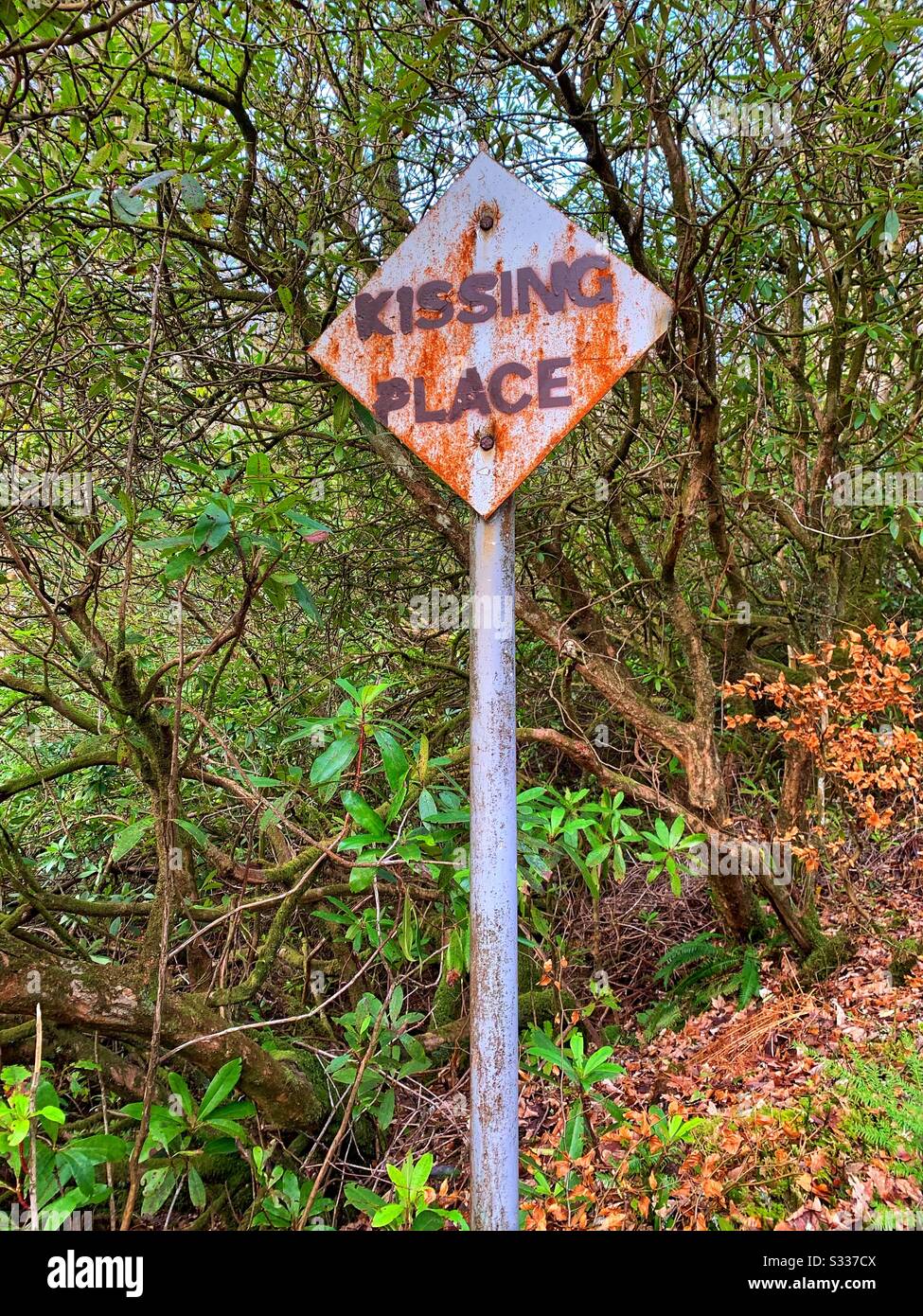 Valentines Day Kissing Place road sign Stock Photo - Alamy