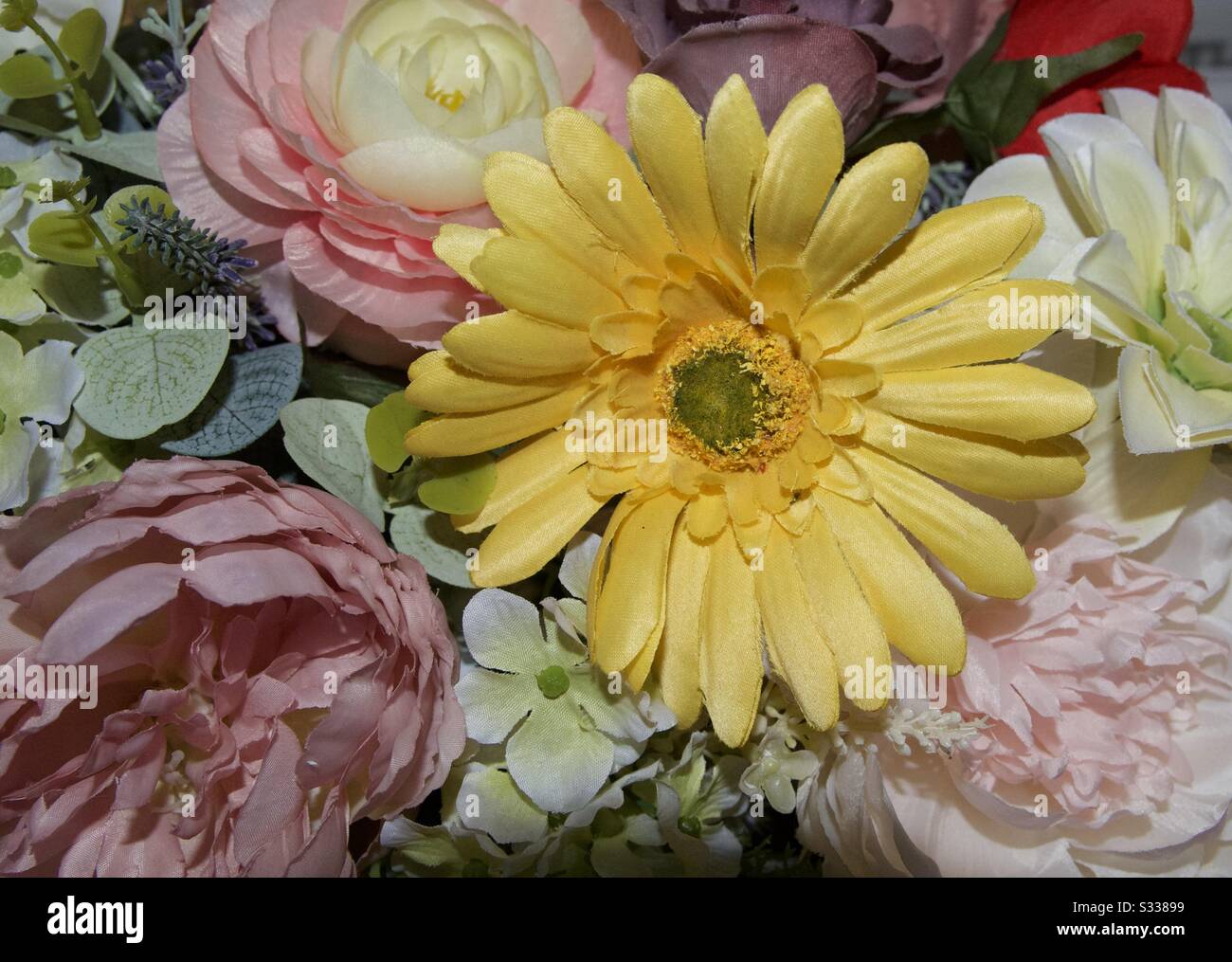 Flower flowers display hi-res stock photography and images - Alamy