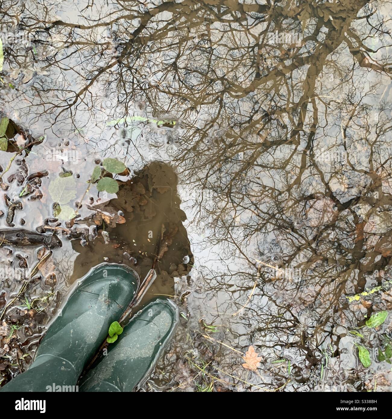 Reflection in mud puddle hi-res stock photography and images - Alamy