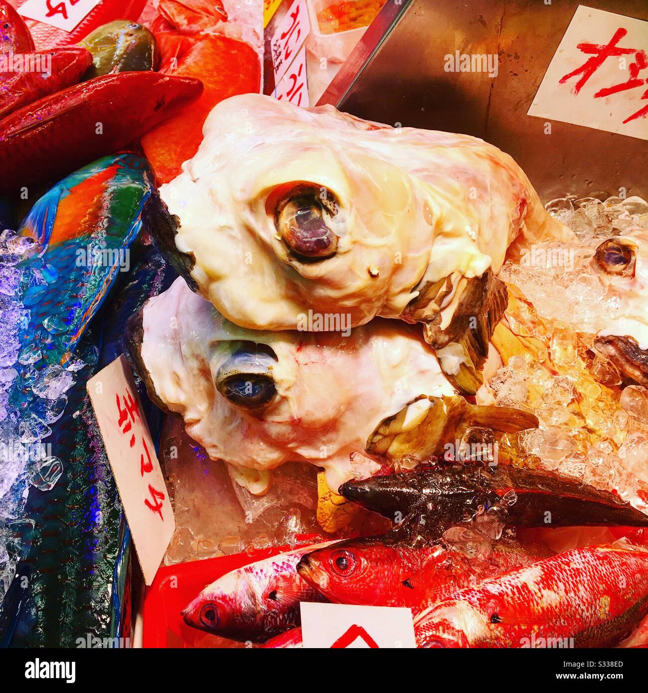 Skinned fish hi-res stock photography and images - Alamy