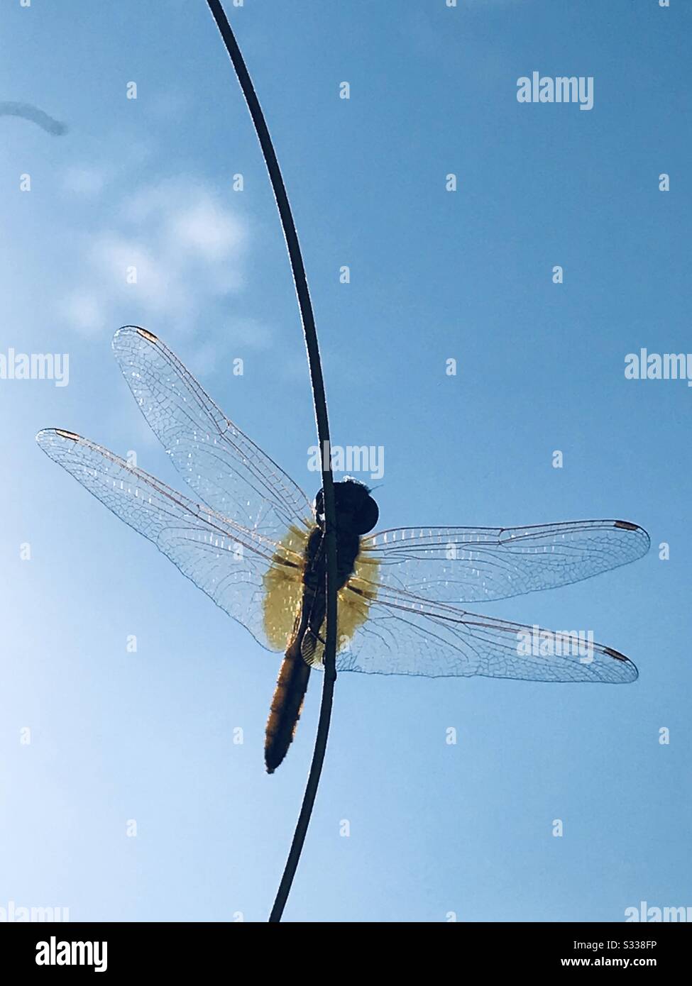 Fly zoomed hi-res stock photography and images - Alamy