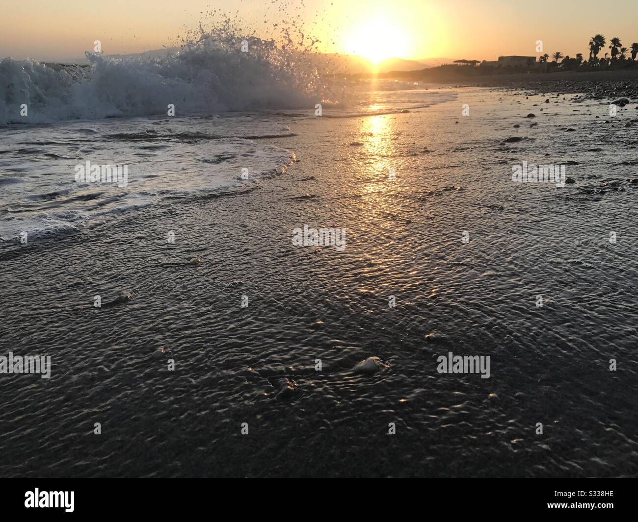 Crashing waves palm trees hi-res stock photography and images - Alamy