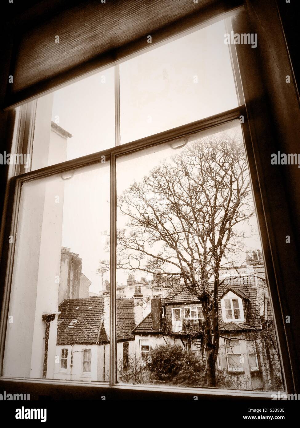 View through English window of old Georgian houses and tree on overcast ...