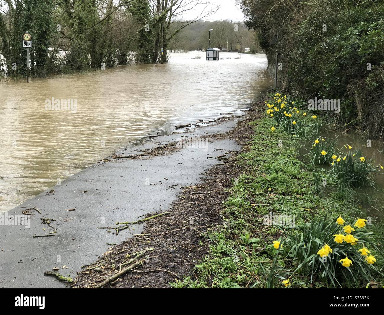 Of llechryd hi-res stock photography and images - Alamy